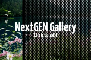 Cairns Security Doors and Windows | Perforated mesh screens